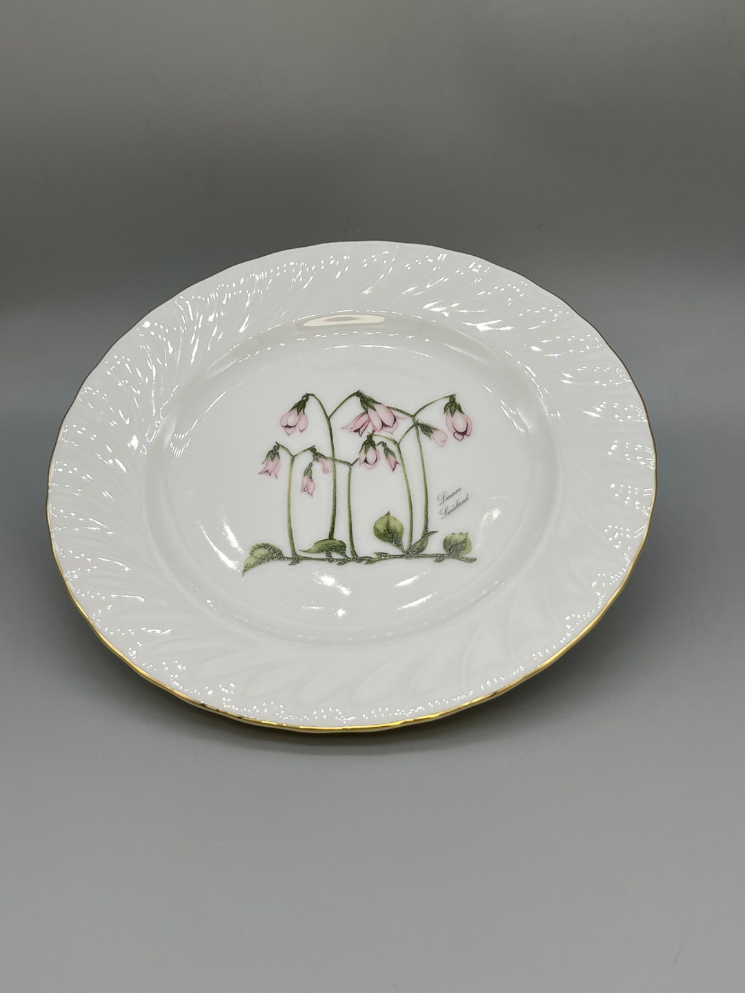 Seltmann Weiden Bavarian Porcelain Saucer Vintage Small Dishware Flower ...