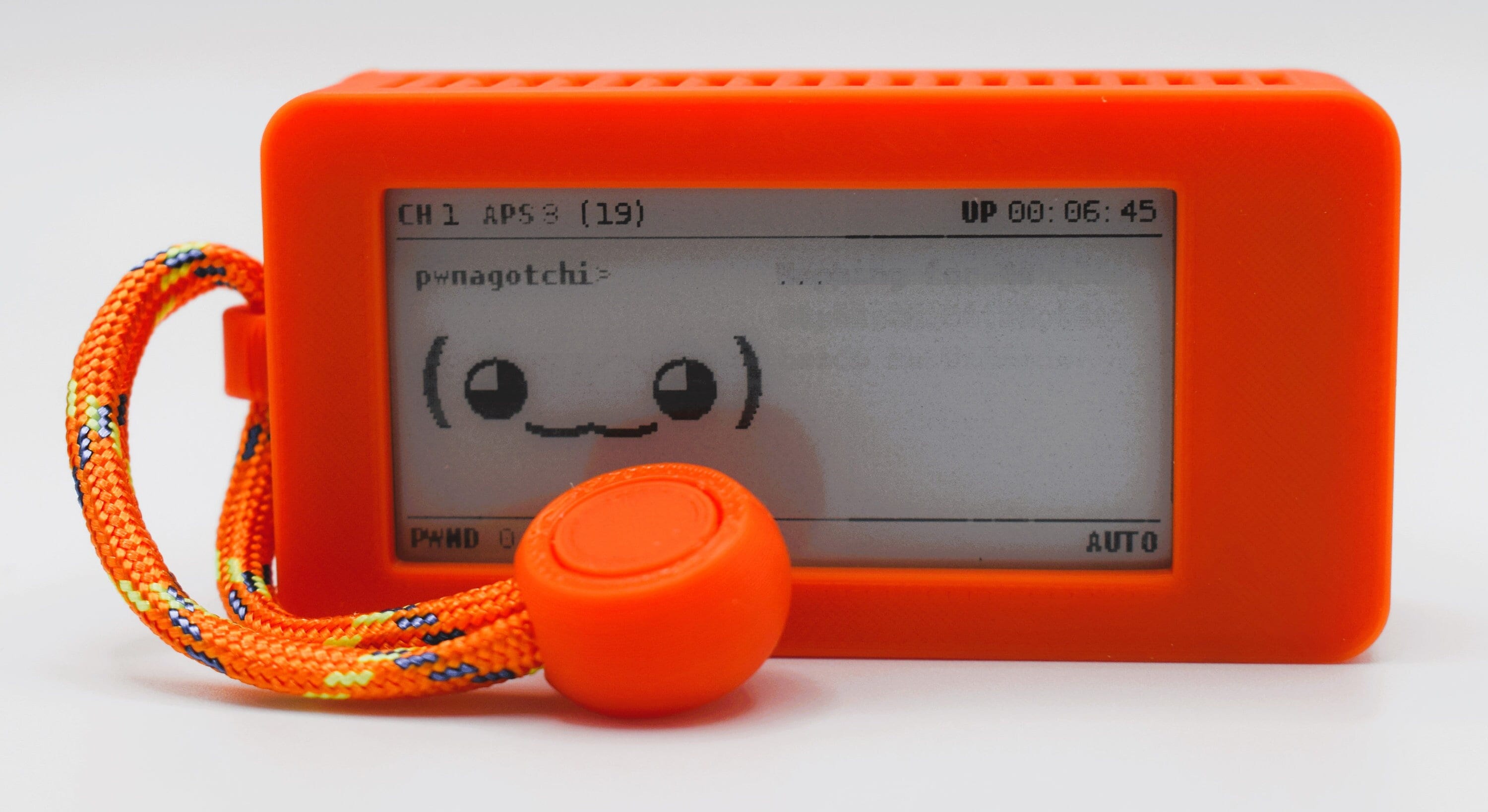 Pwnagotchi Komplett Set Entzückendes AI Wifi Haustier WLAN - Etsy.de