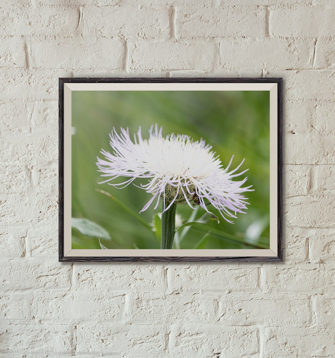 Printable Wall Art - White Flower, Printable Wall Decor, Wall Art ...