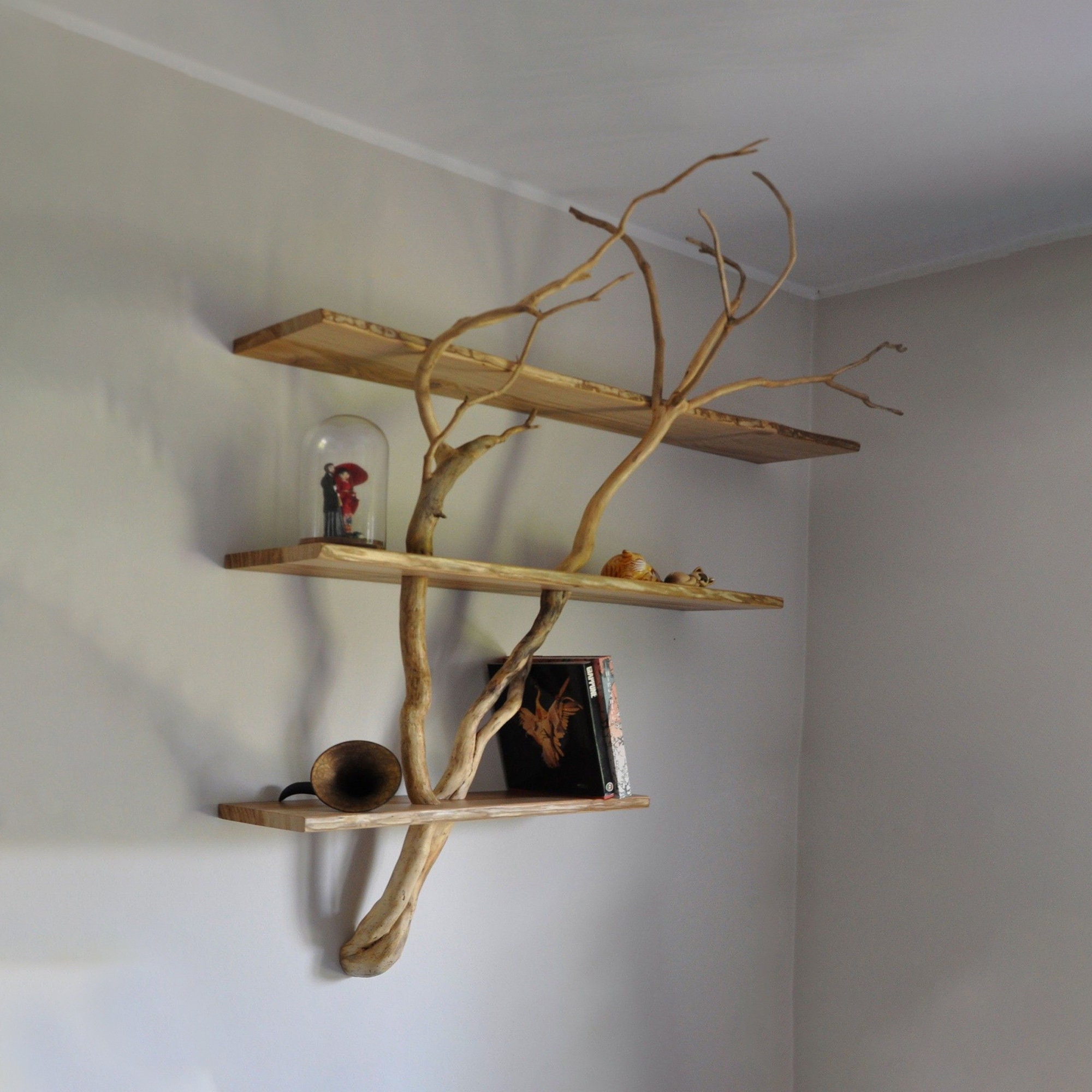 Tree Limb Shelves