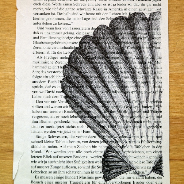 Shell Drawings - Etsy