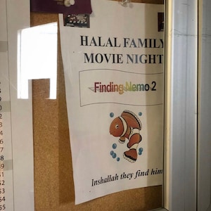 Inshallah They Find Him - Halal Family Movie Night Finding Nemo - Cross ...