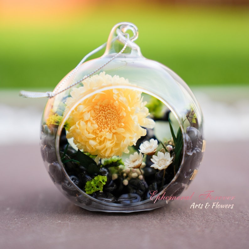 Preserved Flowers in Glass Bauble | | Yellow Chrysanthemum | Lasting ...