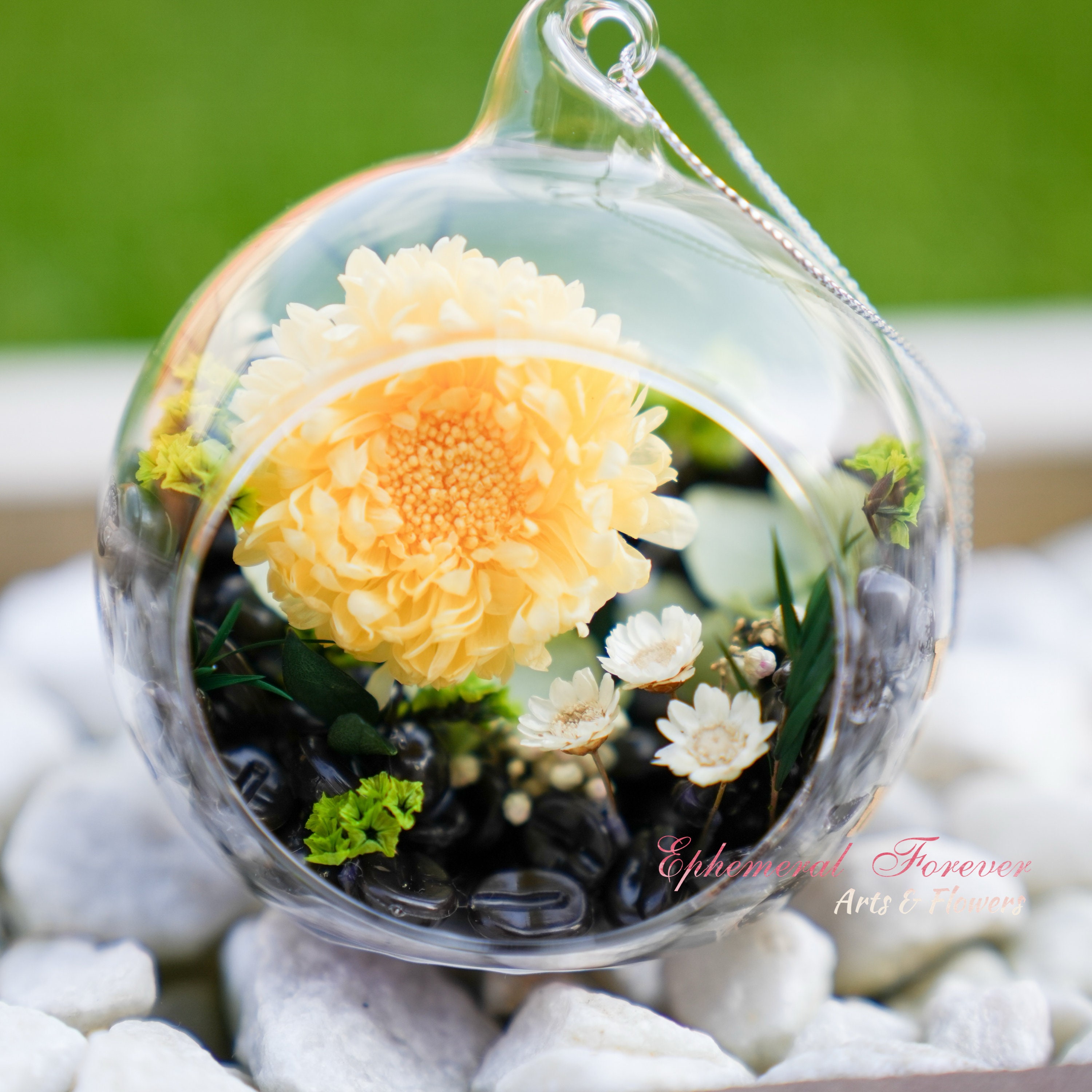 Preserved Flowers in Glass Bauble coffee Field Yellow Chrysanthemum ...