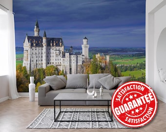 Cowboy / Western Wall Mural, Peel and Stick Removable Vinyl Wallpaper ...