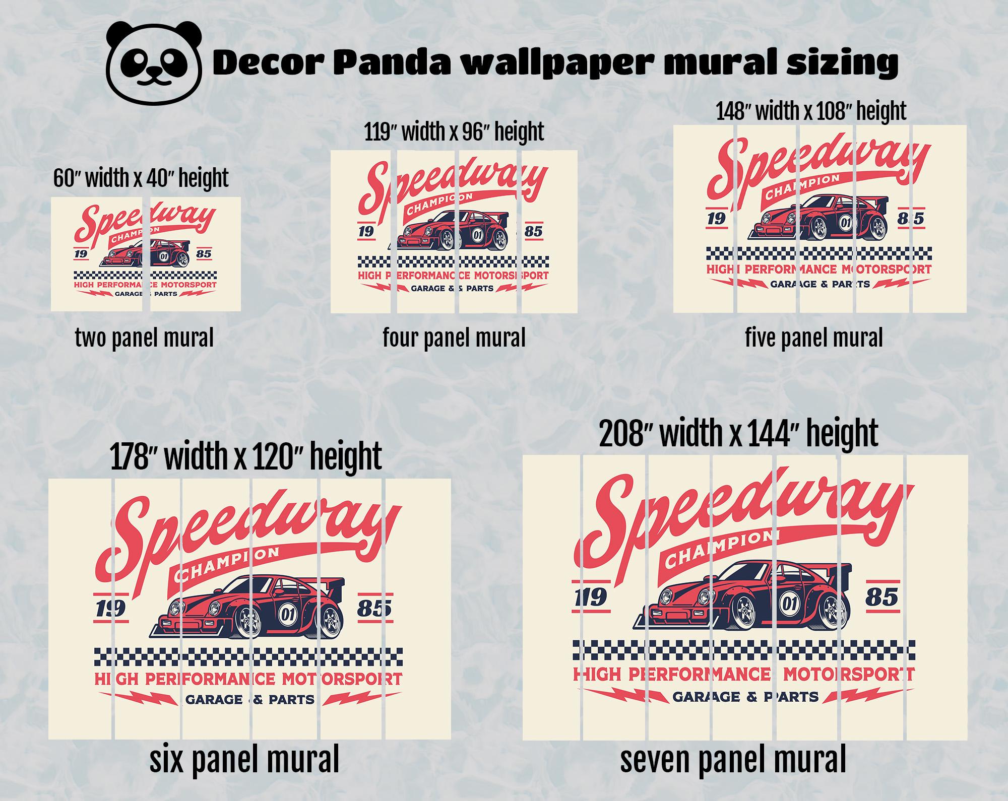 Speedway Champion Removable Vinyl Mural / Retro Race Car Wallpaper ...
