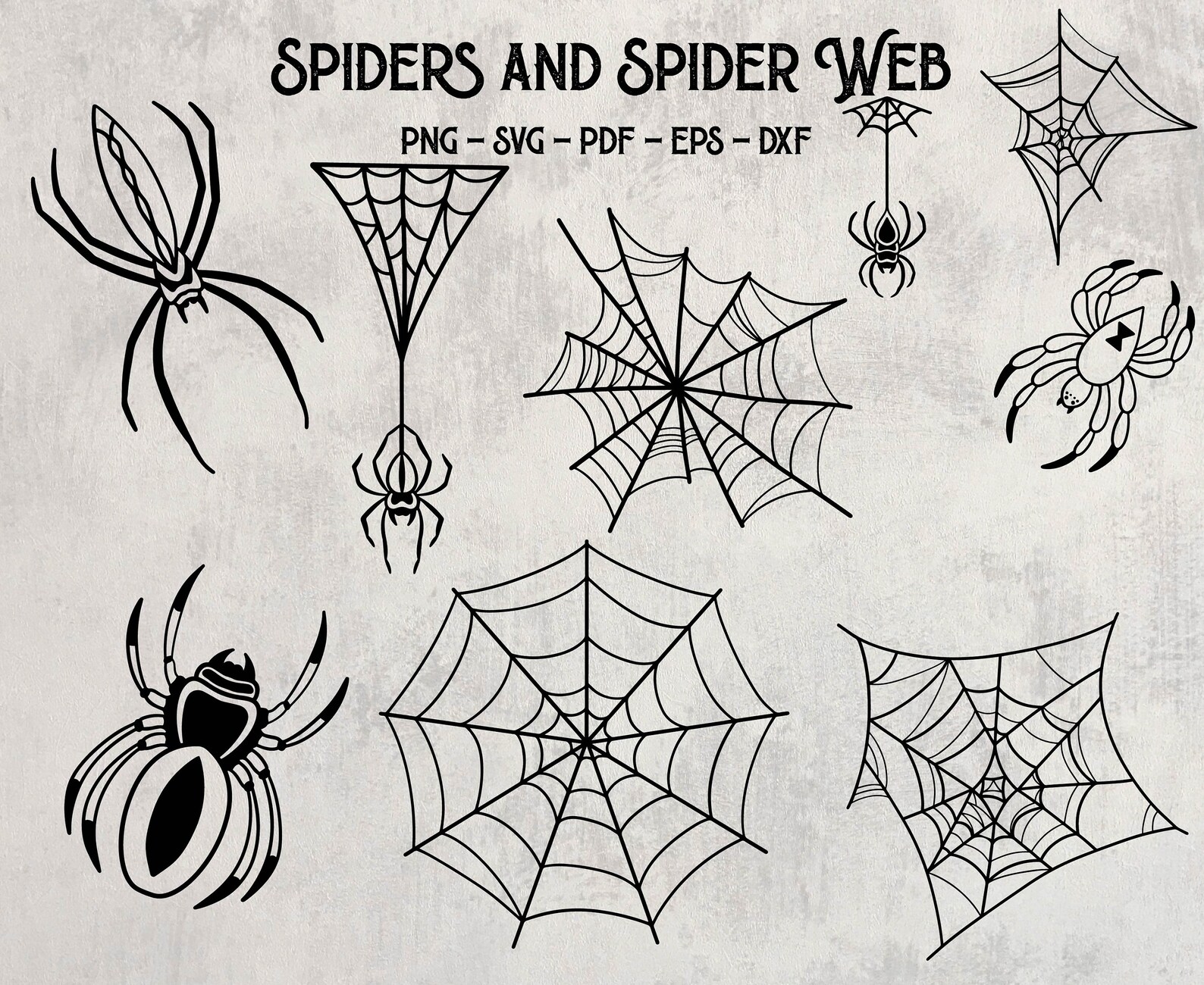Spiders and Spider Web Bundle, Spider Svg, Spider Web Svg, Spider ...