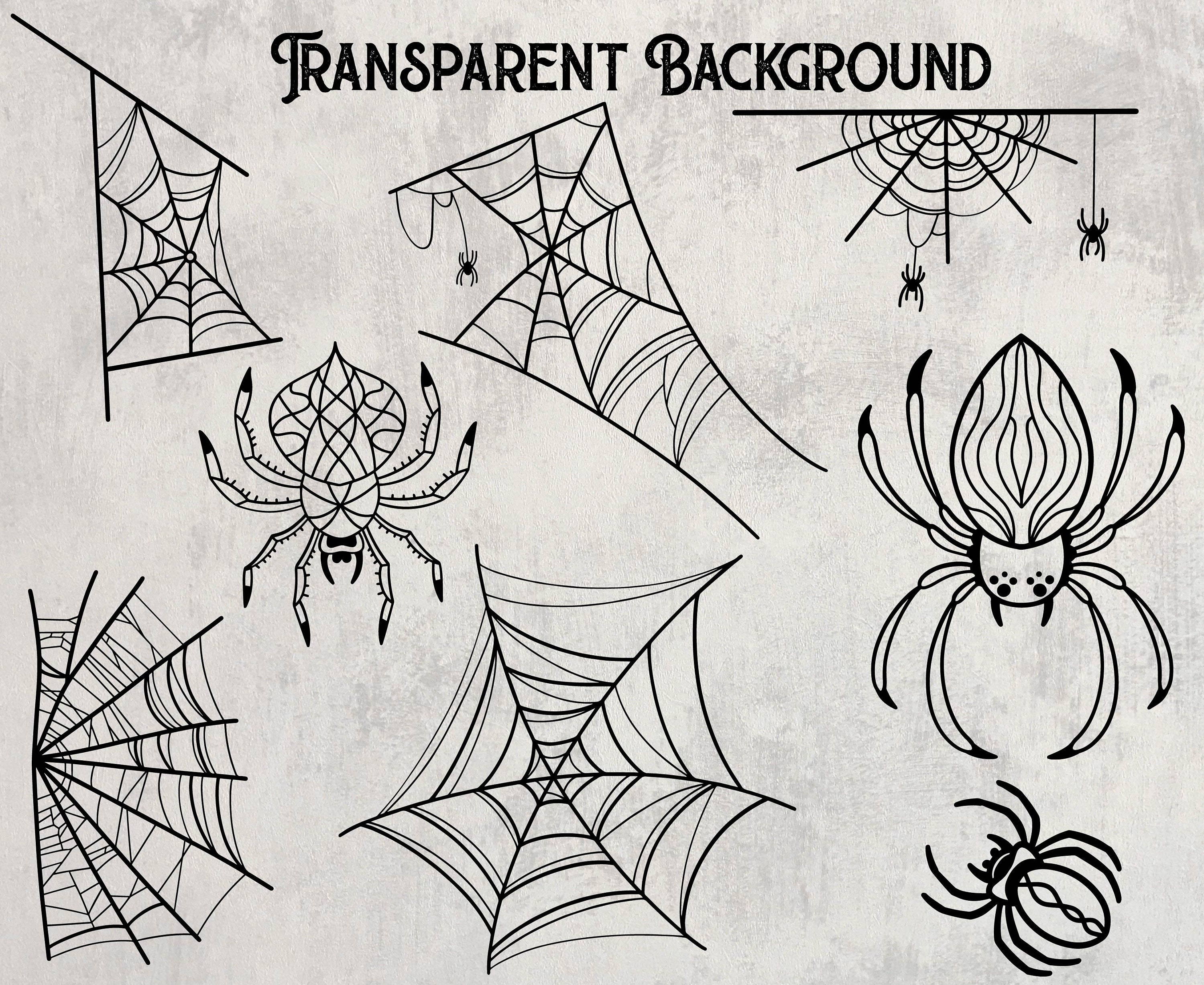 Spiders and Spider Web Bundle, Spider Svg, Spider Web Svg, Spider ...
