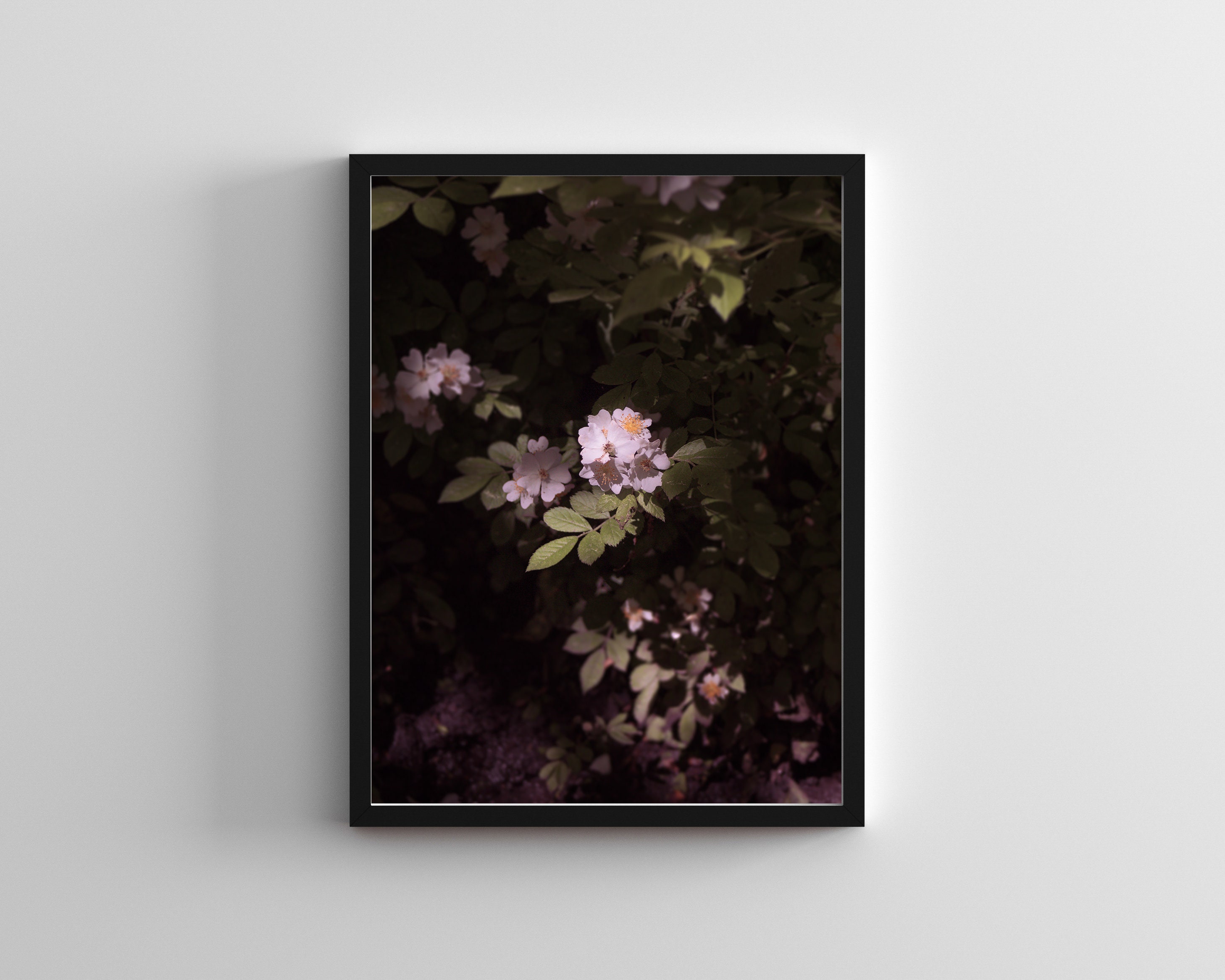 Downloadable Photo Print, Floral Photo Print, Downloadable Floral Print ...