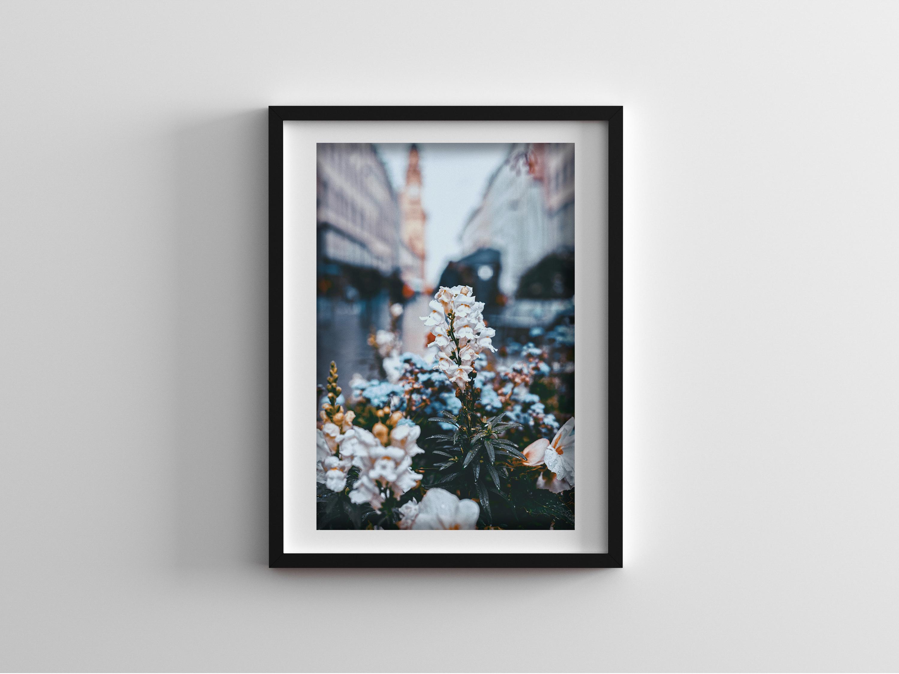 White Flower Photo Print, Downloadable Photo Prints, Floral Photo ...