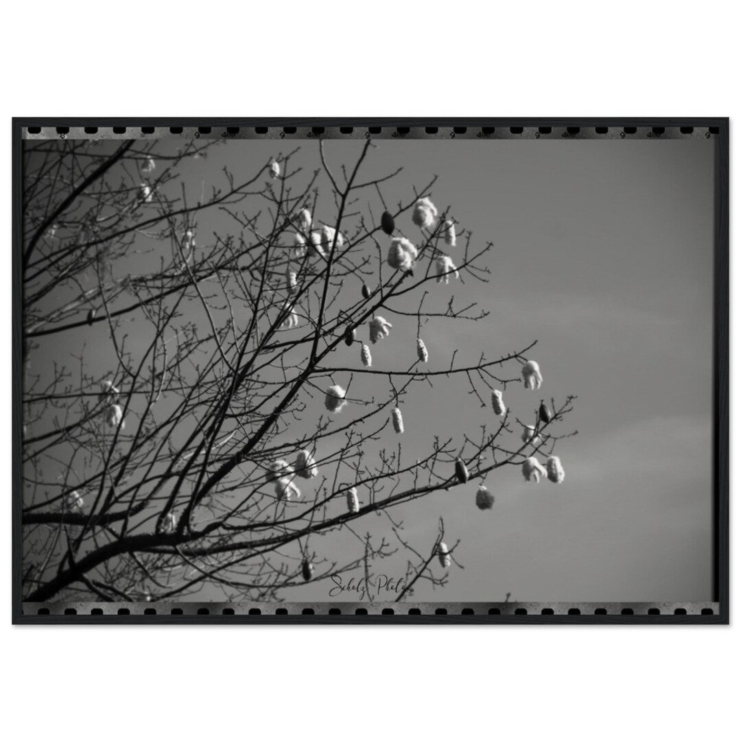 Museum-quality Matte Paper Wooden Framed Poster - Etsy