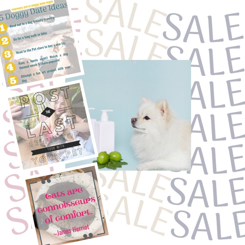 199 Pet Social Media Posts - Instagram-ready Templates for Canva - Etsy