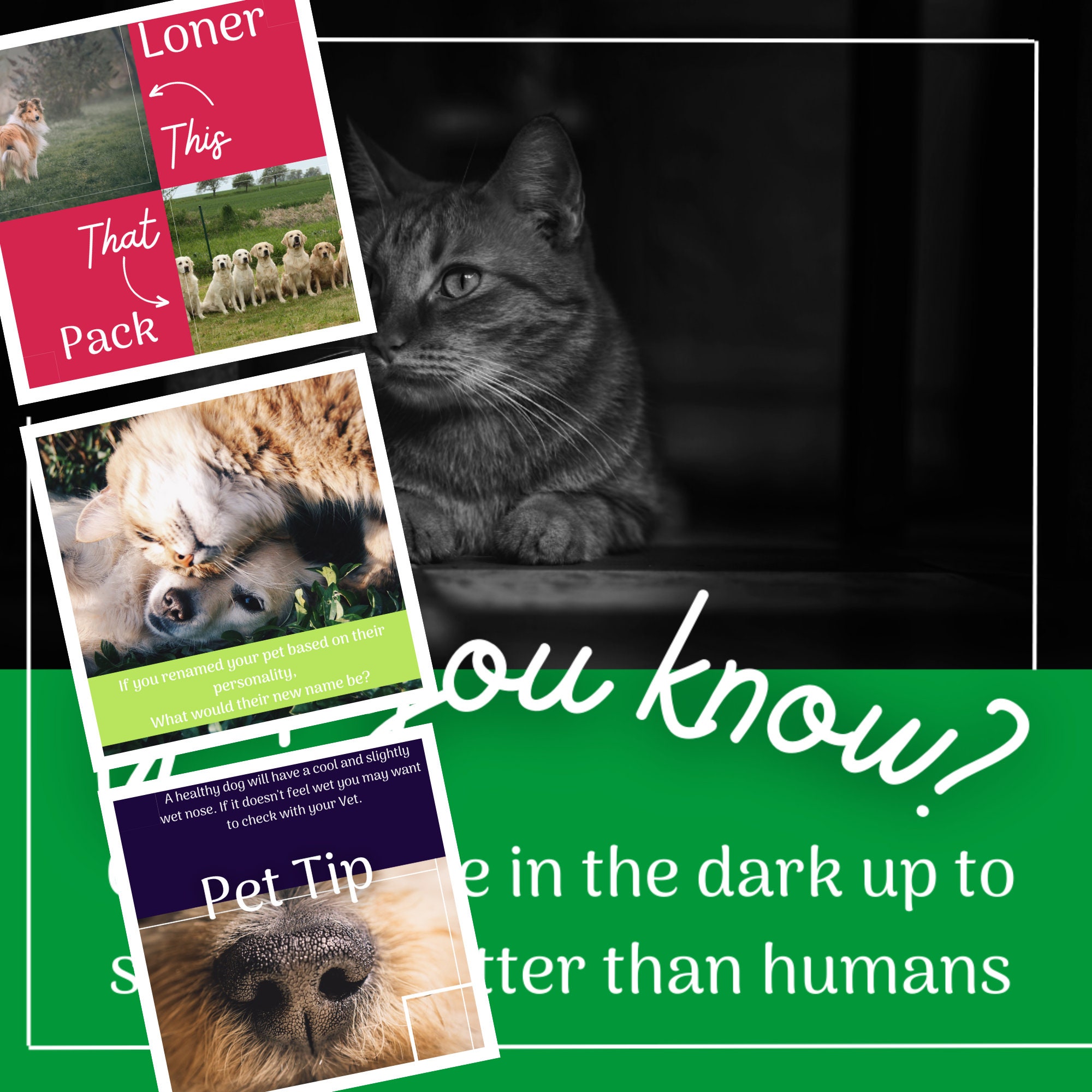 55 Pet Social Media Graphics | Pet Business Graphics| Interactive ...