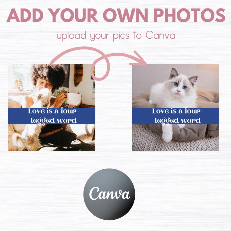 15 Pet Marketing Social Media Posts | Pet Business Social Media | Cat ...