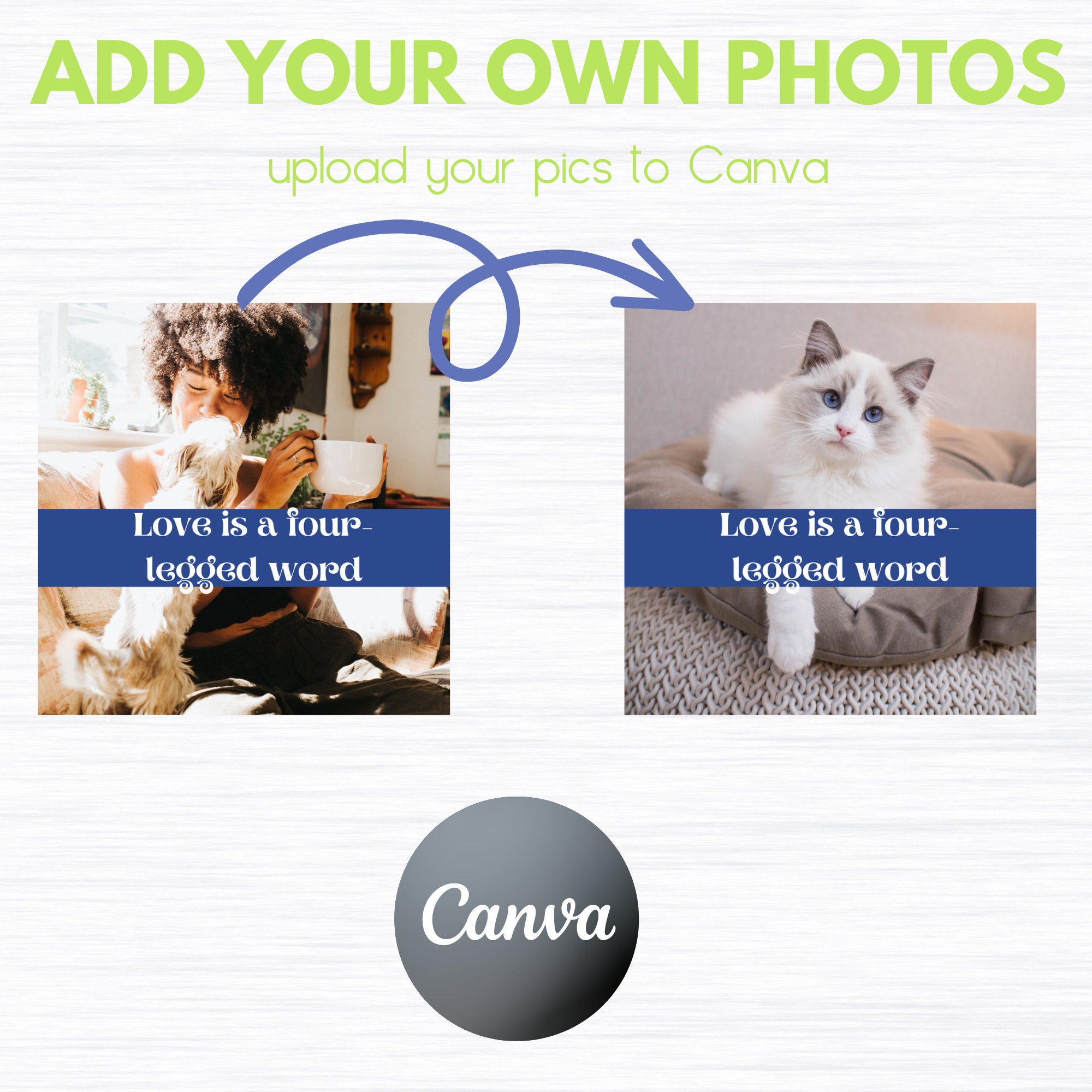 55 Pet Social Media Graphics | Pet Business Graphics| Interactive ...