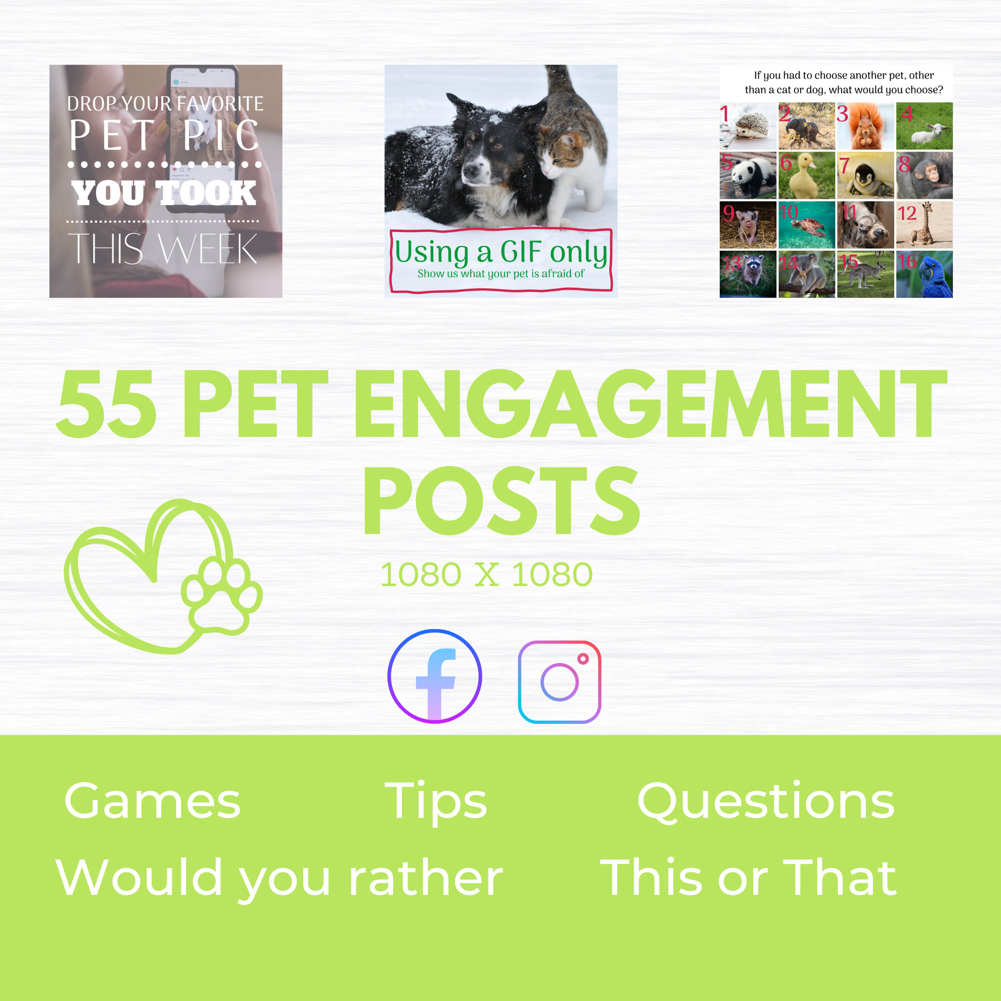 55 Pet Social Media Graphics | Pet Business Graphics| Interactive ...