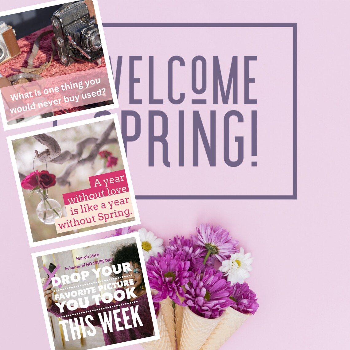 36 March Social Media Posts, Engagement Graphics, St. Patrick's Day ...