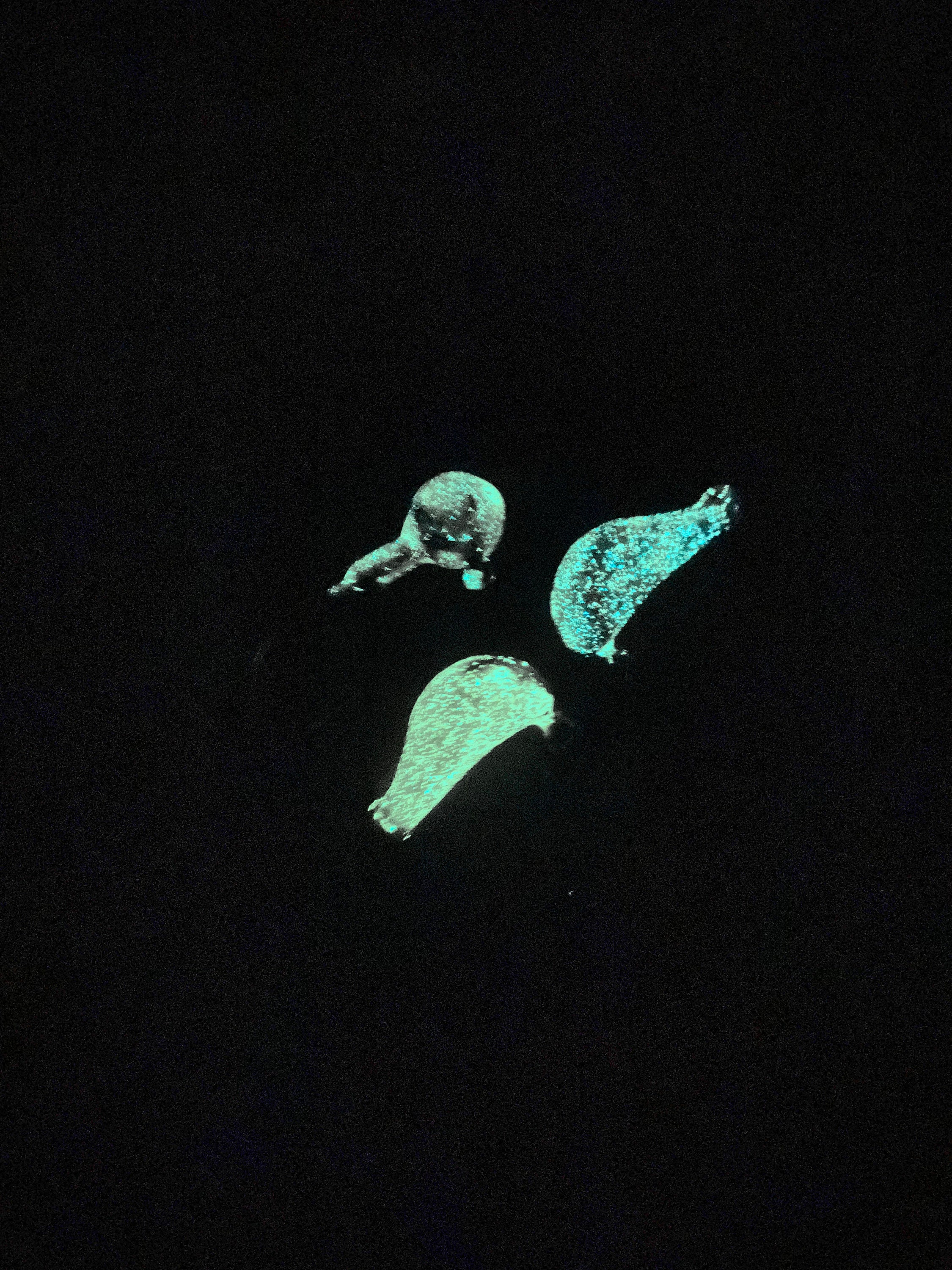 Jig "flow" Shown in Vikings Colors. All Jigs Available in 1/16, 1/8, 1/ ...