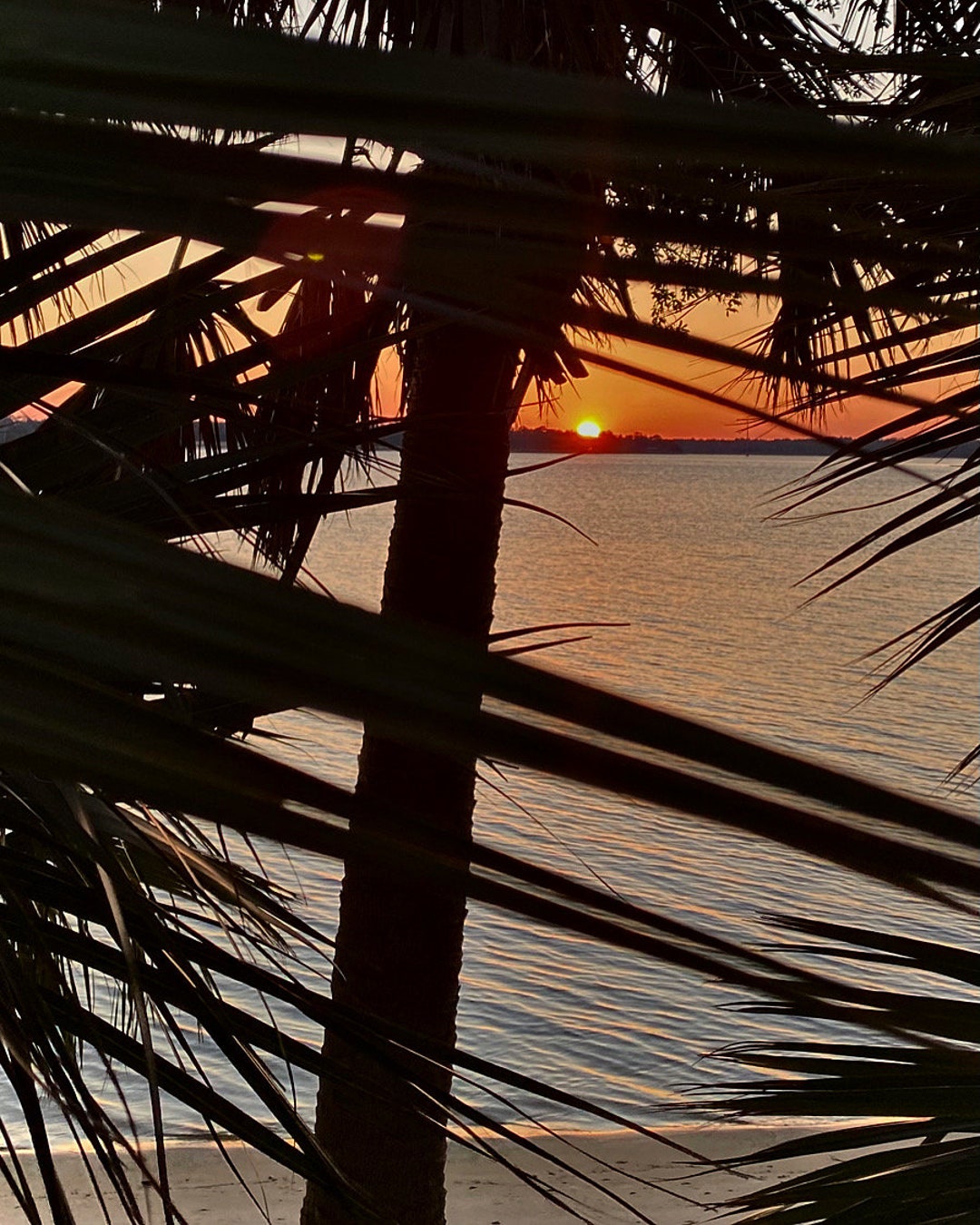 Sunset Etsy