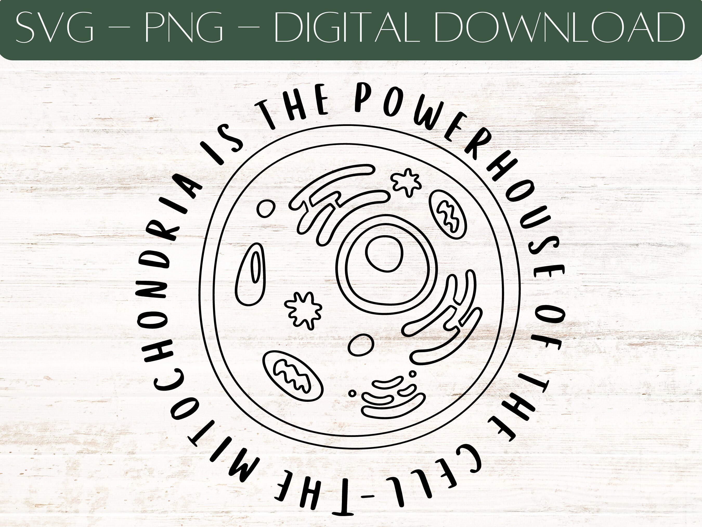 Mitochondria Biology Science Teacher Drawing SVG PNG Cut File Vector ...