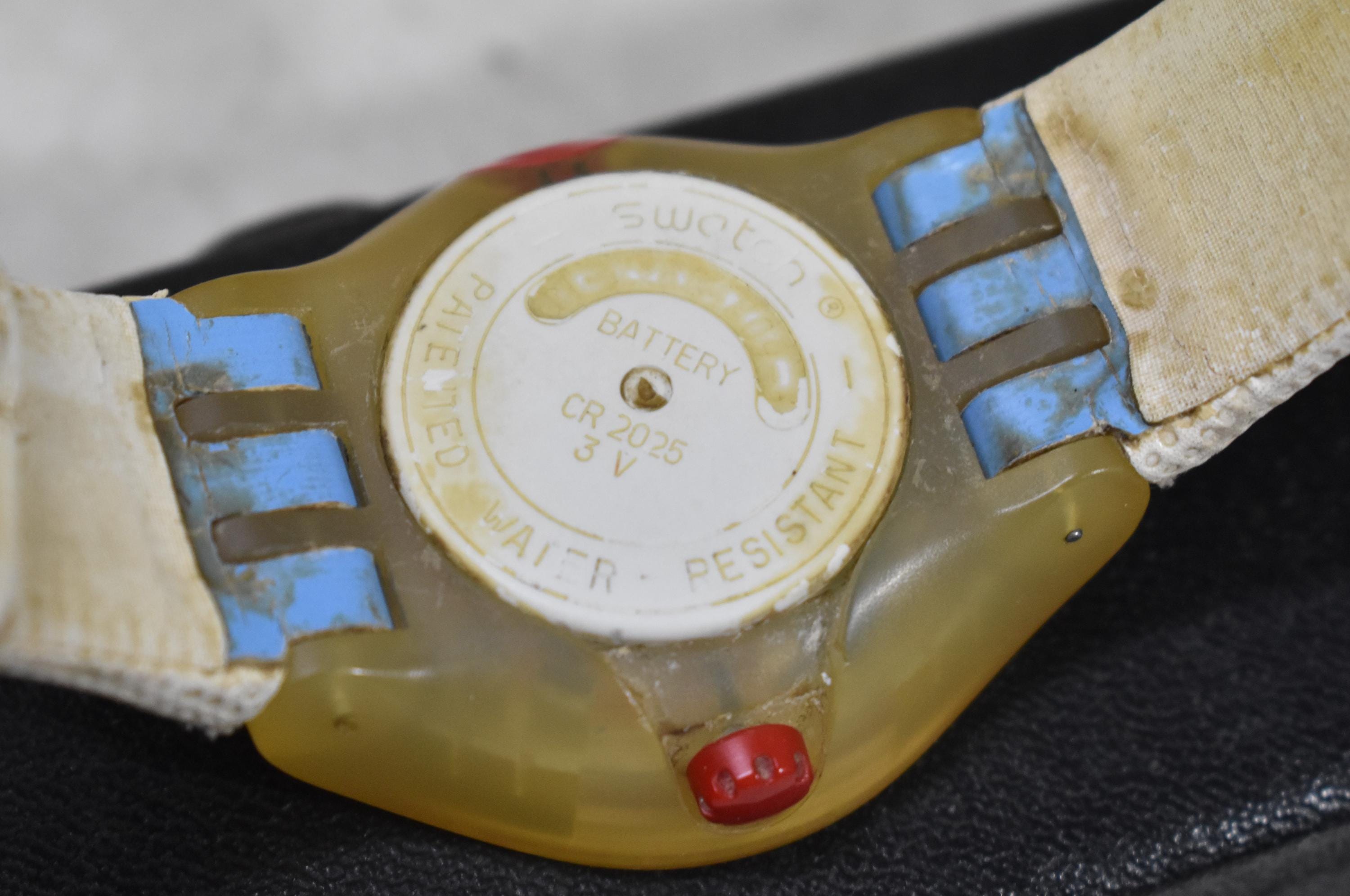 Vintage Collectible Rare Swatch Fun Border AG 2005 Snowpass CR 2025 ...