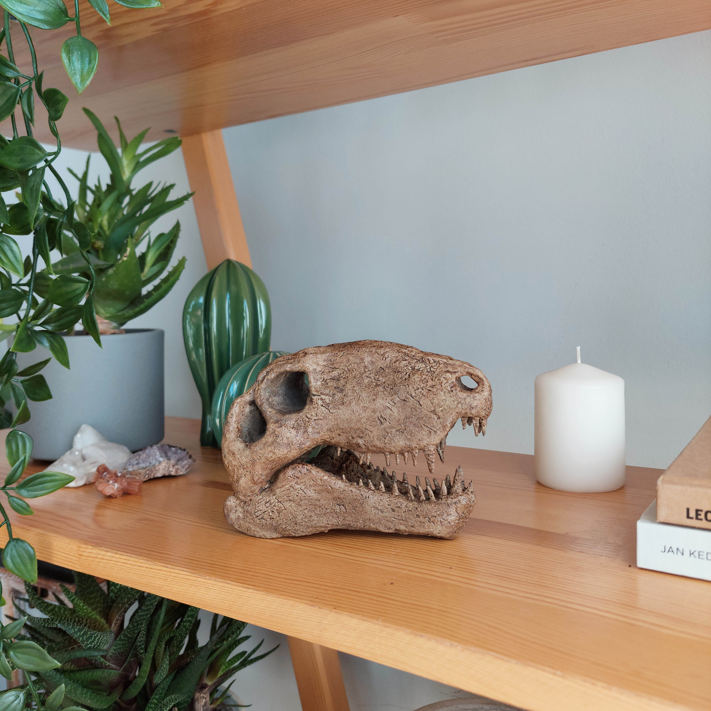 Dimetrodon Skull | Museum Quality Sculpture | Dinosaur Fossil ...