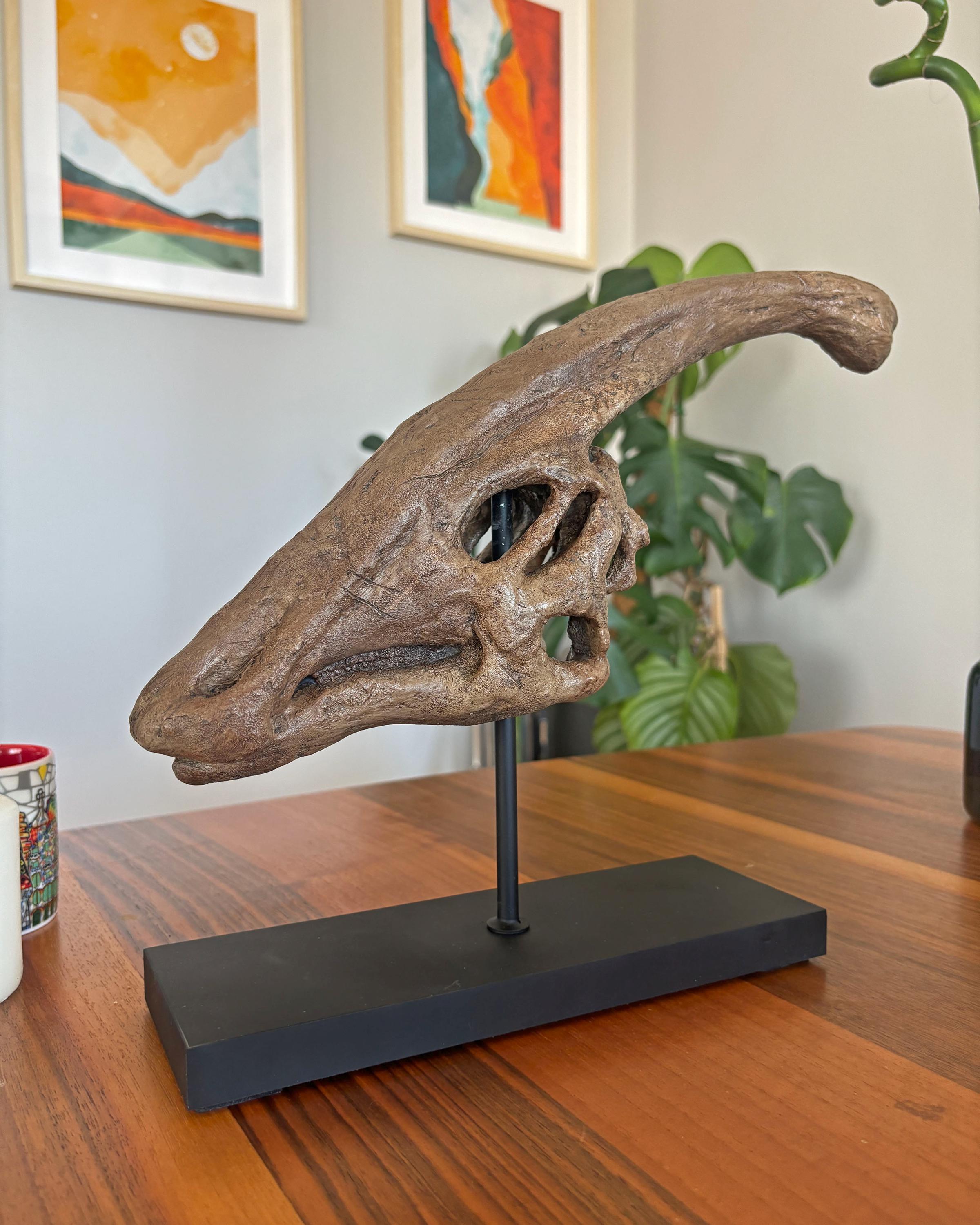 Parasaurolophus Skull | Fossil-themed Collectible Sculpture | Wooden ...