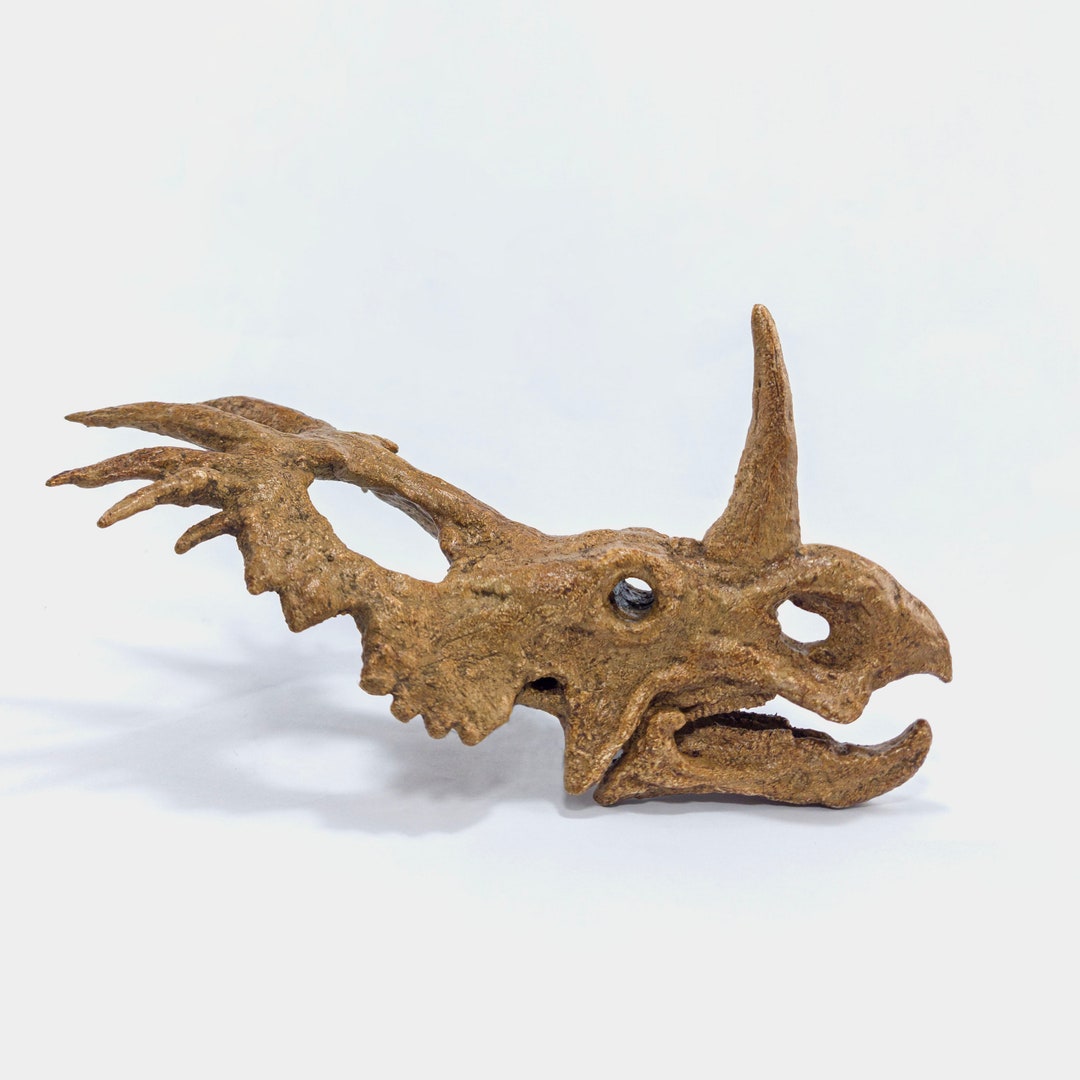 Styracosaurus Skull | Museum Quality Sculpture | Dinosaur Fossil ...