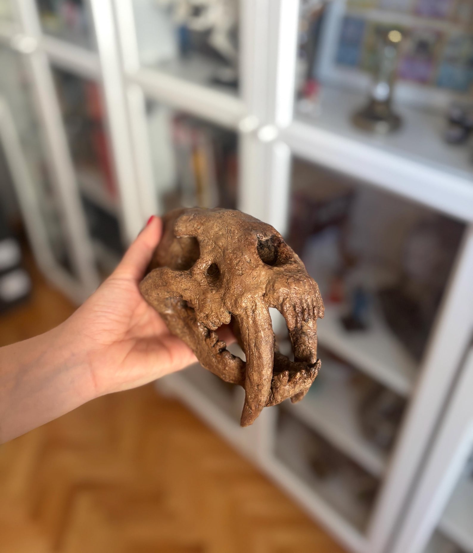 Smilodon Skull | Saber-tooth | Museum Quality Sculpture | Dinosaur ...