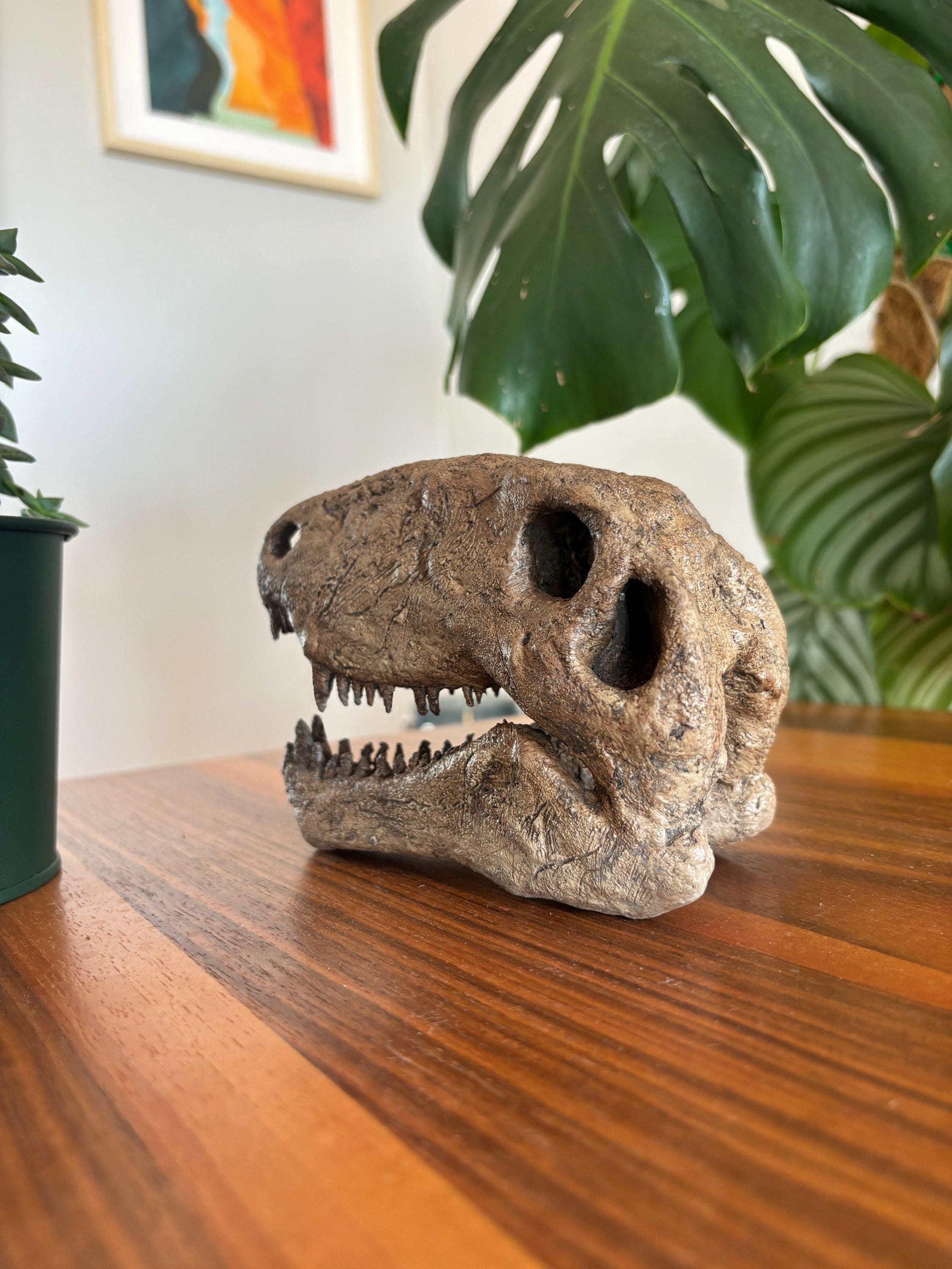 Dimetrodon Skull | Museum Quality Sculpture | Dinosaur Fossil ...