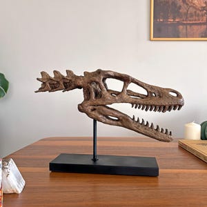 Velociraptor Skull With Neck | Fossil-themed Collectible Sculpture ...