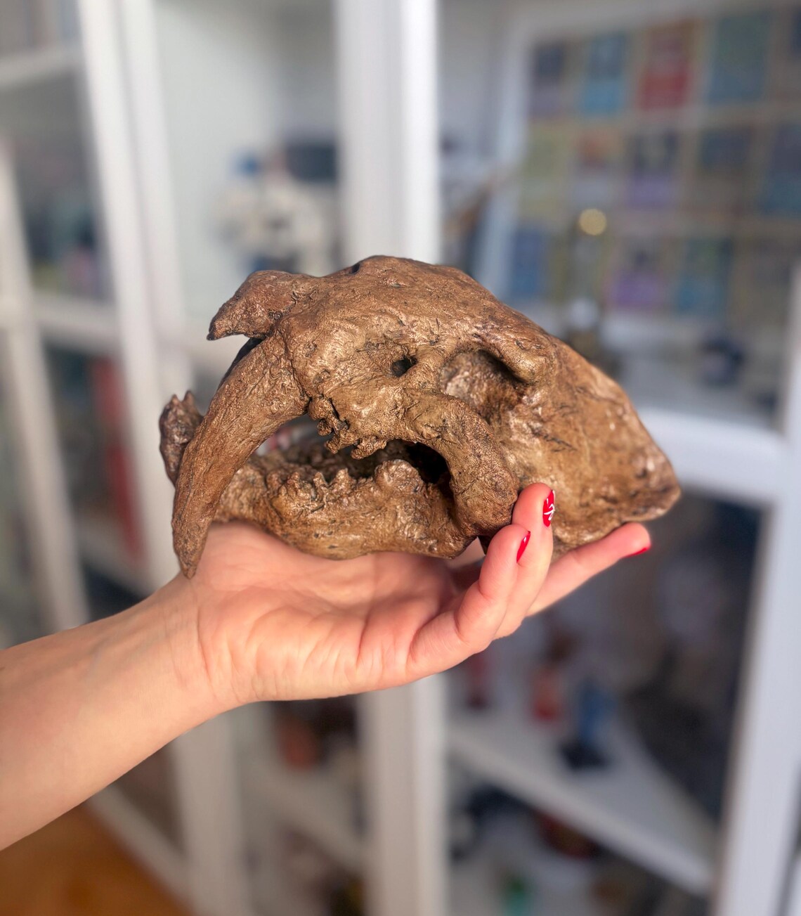 Smilodon Skull | Saber-tooth | Museum Quality Sculpture | Dinosaur ...