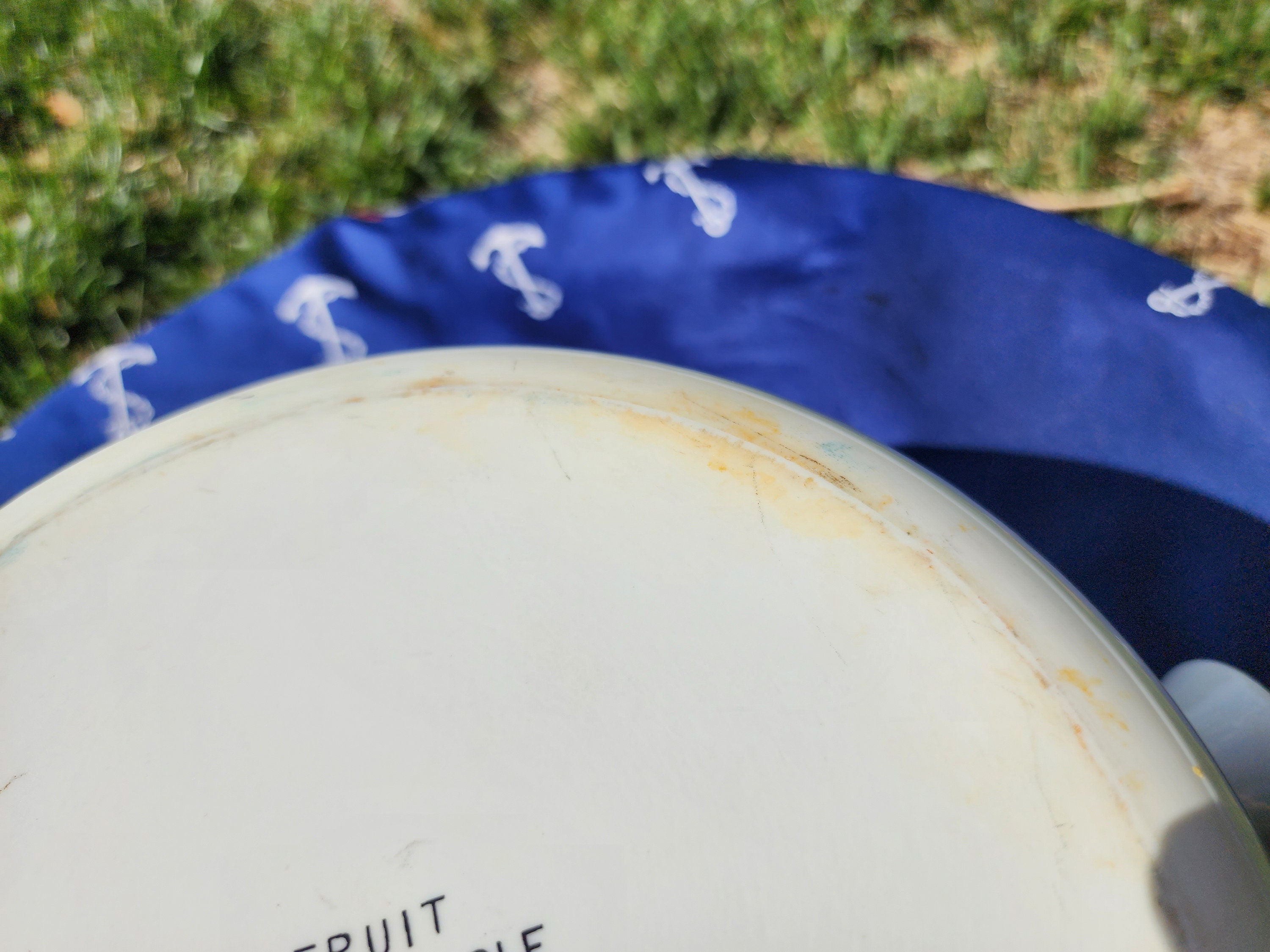 Sadek Fruit Oven to Table 3 Quart Covered Casserole Dish - Etsy