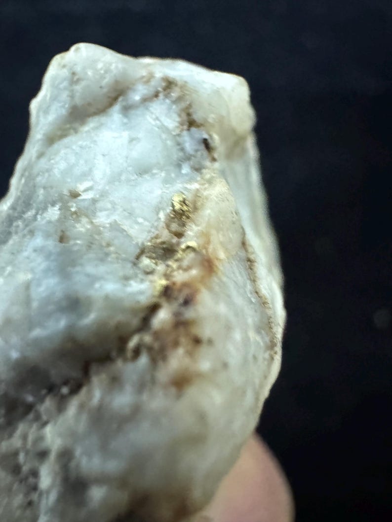 Gold on Quartz Specimen From Nevada City, California - Found in 2025 - Etsy