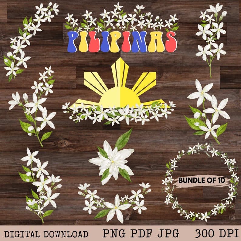 Philippine Sampaguita PNG Clip Arts Printable, Filipino Sun, Sampaguita ...