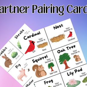 Partner Pairing Cards, Animal Themed, Animal and Habitat Pairing, Group ...