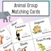 Animal Habitat Themed, Group Matching Cards, Group Pairing and Matching ...