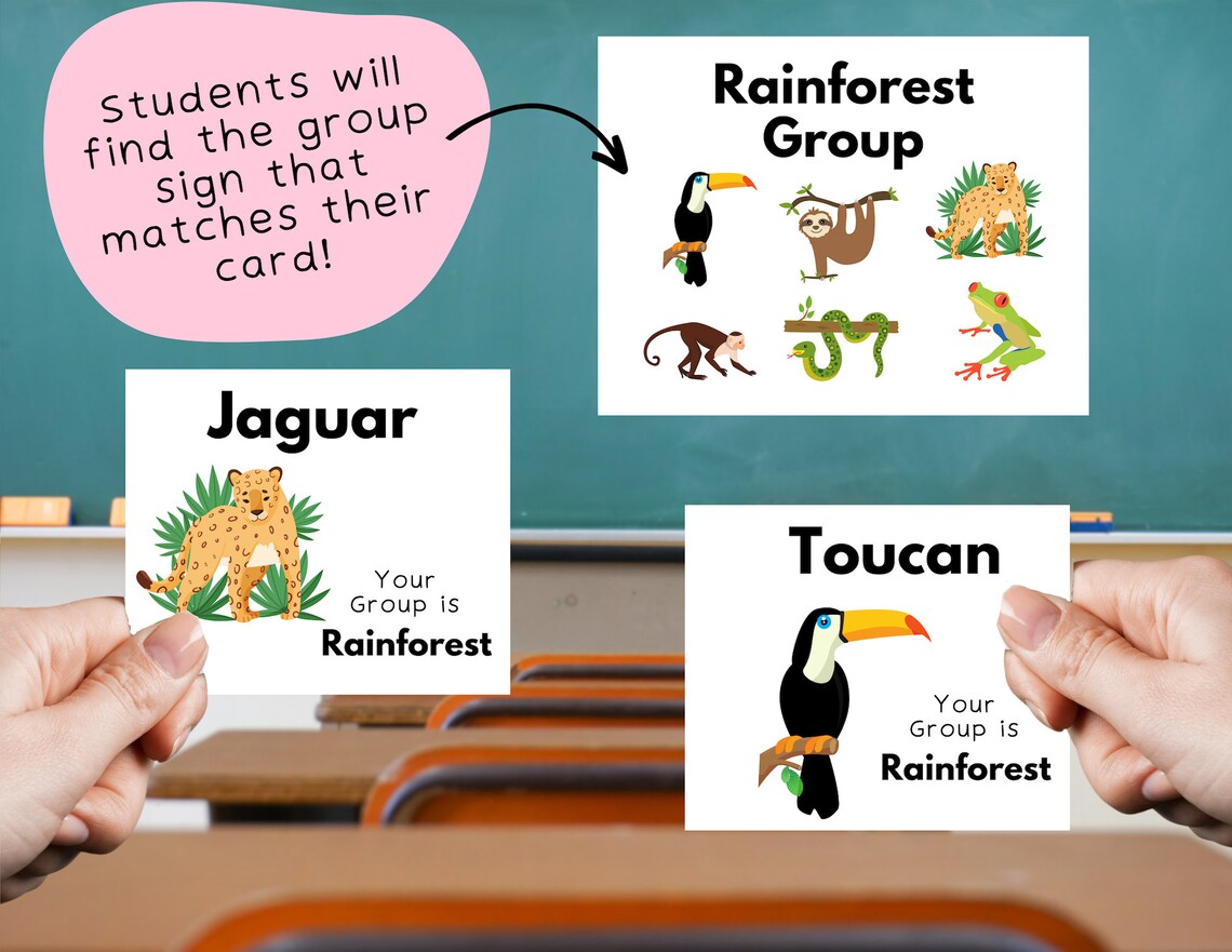 Animal Habitat Themed, Group Matching Cards, Group Pairing and Matching ...