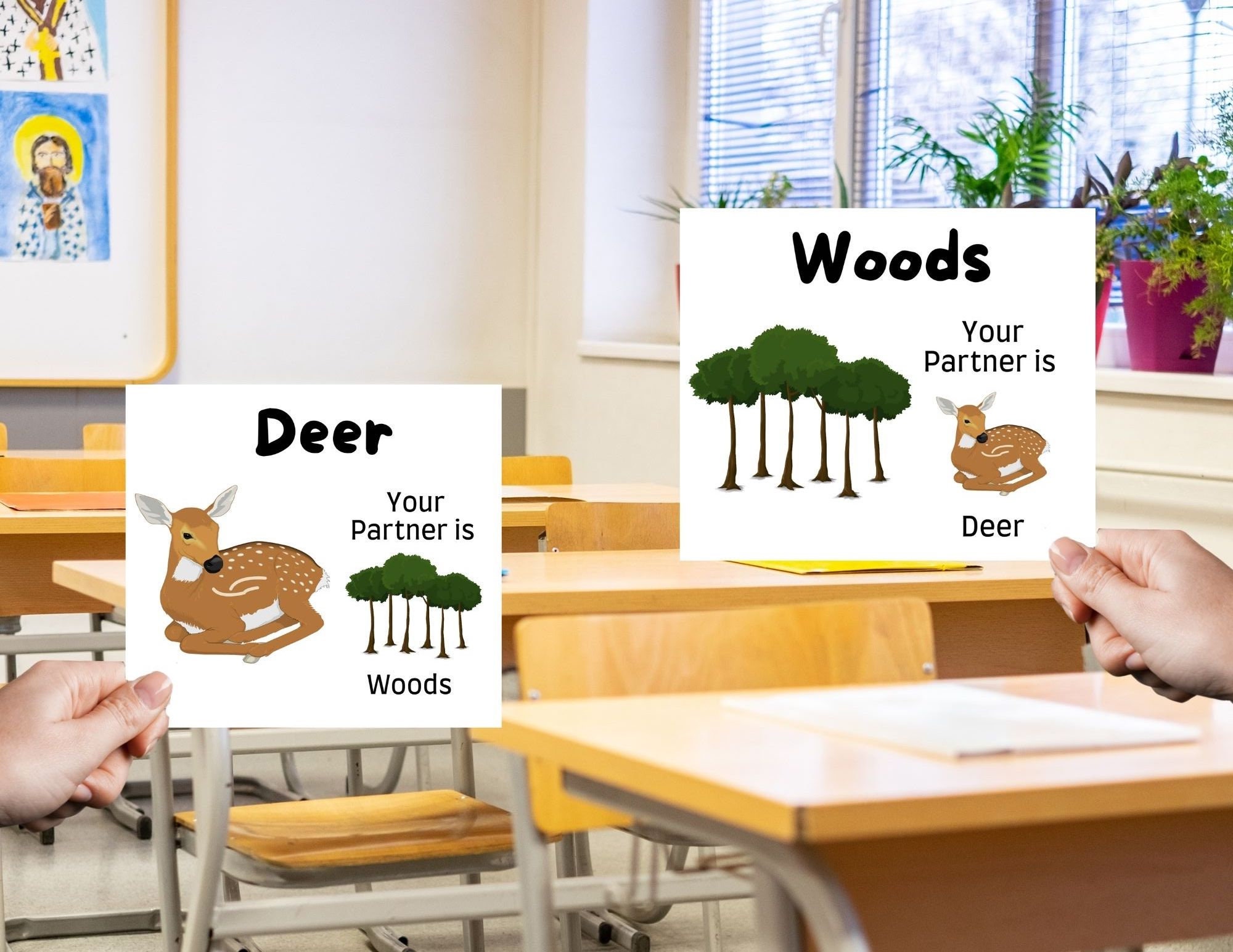 Partner Pairing Cards, Animal Themed, Animal and Habitat Pairing, Group ...