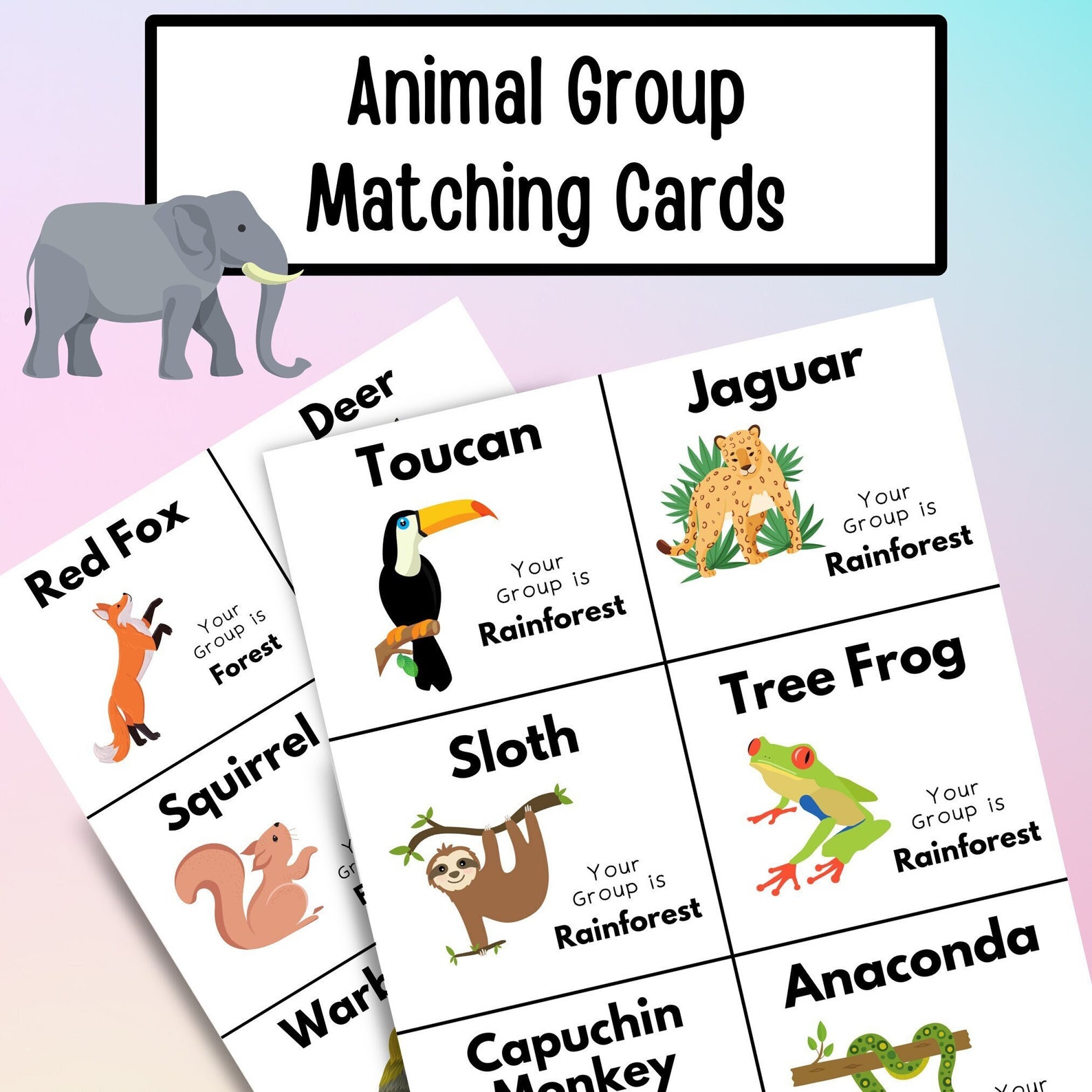 Animal Habitat Themed, Group Matching Cards, Group Pairing and Matching ...