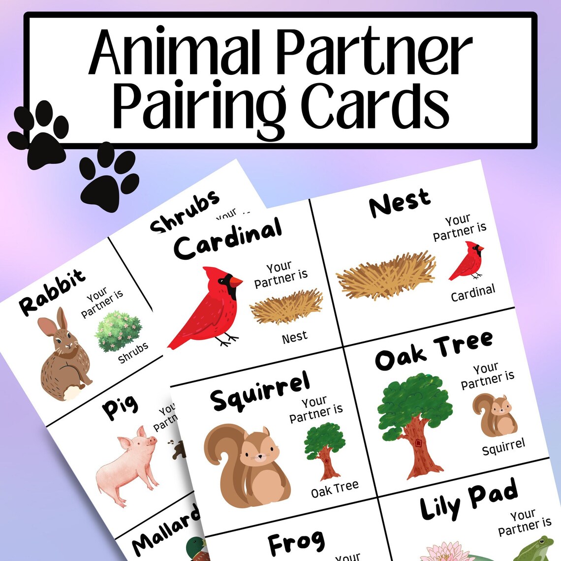 Partner Pairing Cards, Animal Themed, Animal and Habitat Pairing, Group ...