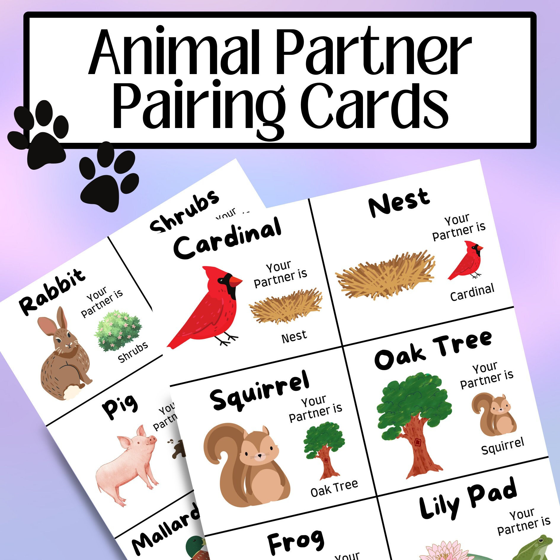 Partner Pairing Cards, Animal Themed, Animal and Habitat Pairing, Group ...