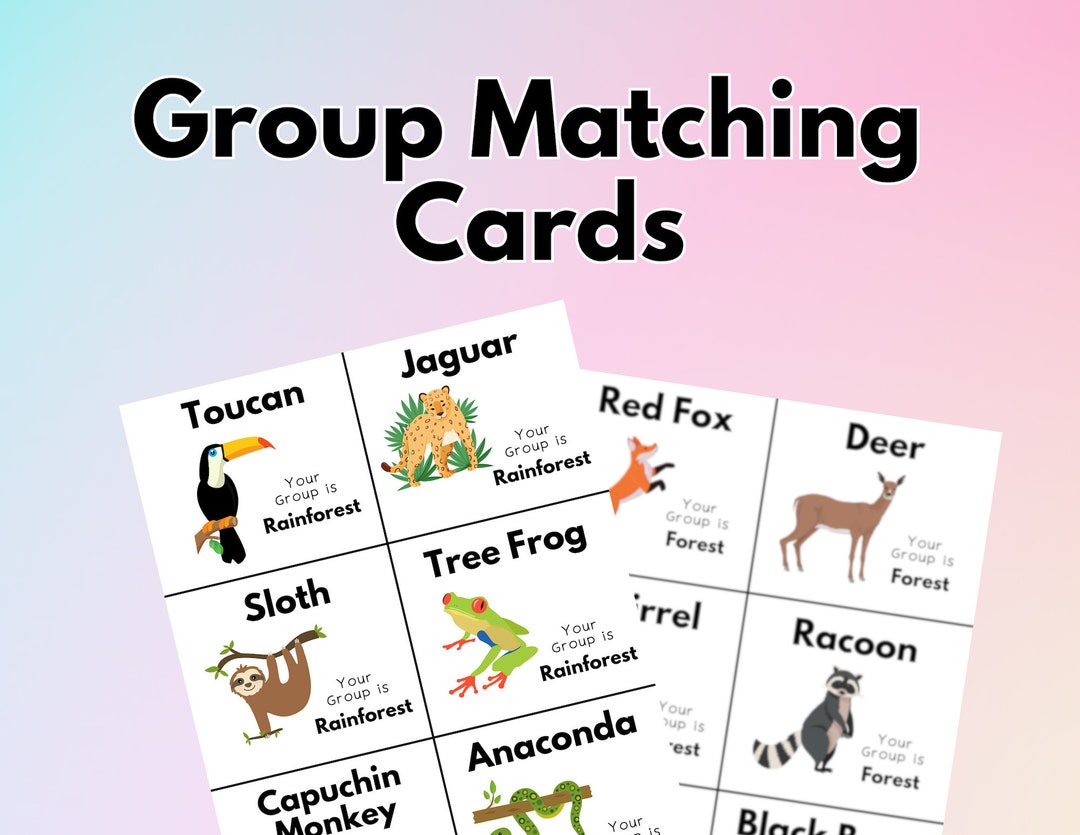 Animal Habitat Themed Group Matching Cards Group Pairing and - Etsy