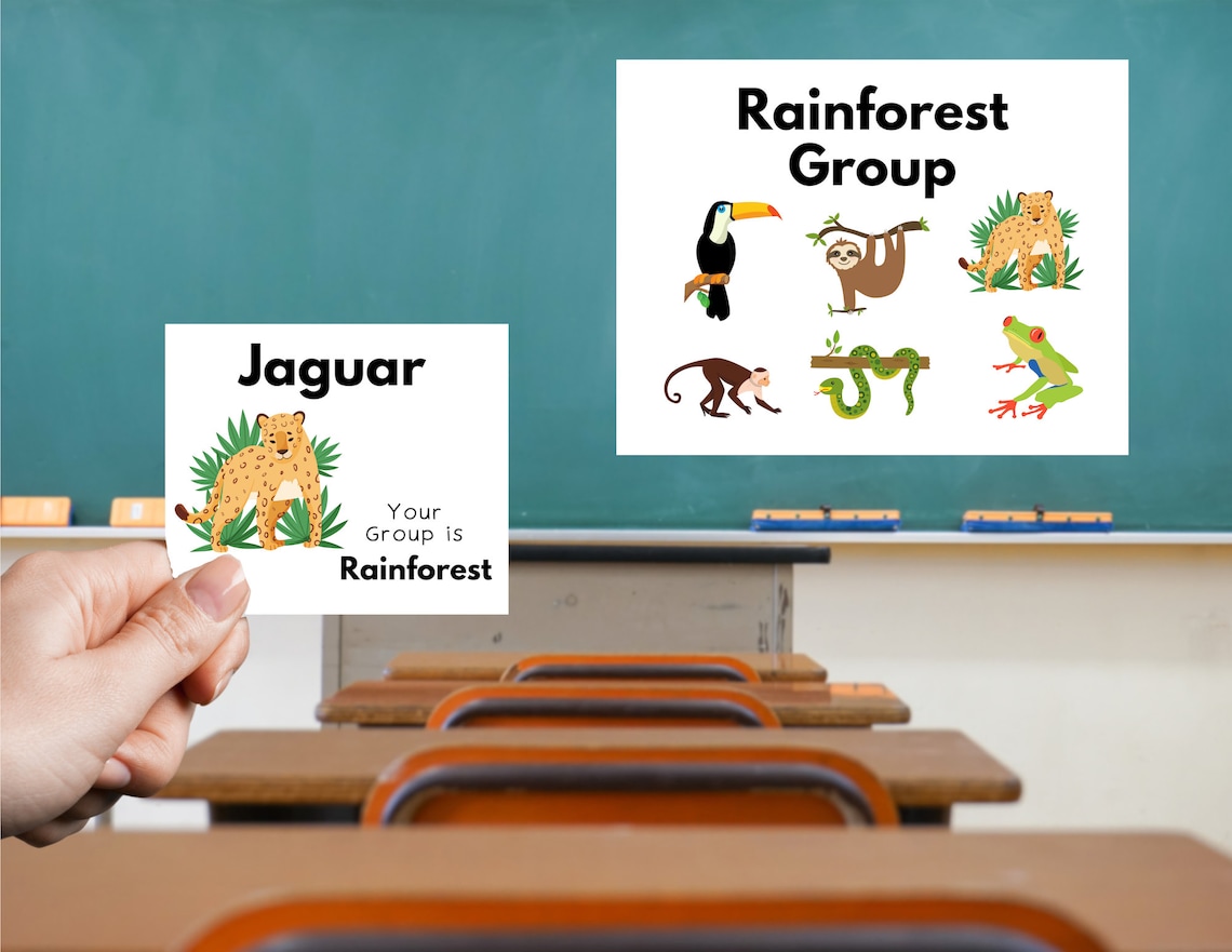 Animal Habitat Themed, Group Matching Cards, Group Pairing and Matching ...