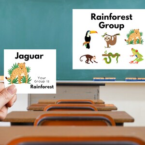 Animal Habitat Themed, Group Matching Cards, Group Pairing and Matching ...