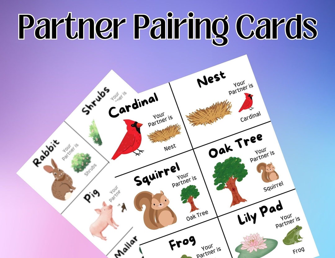 Partner Pairing Cards, Animal Themed, Animal and Habitat Pairing, Group ...