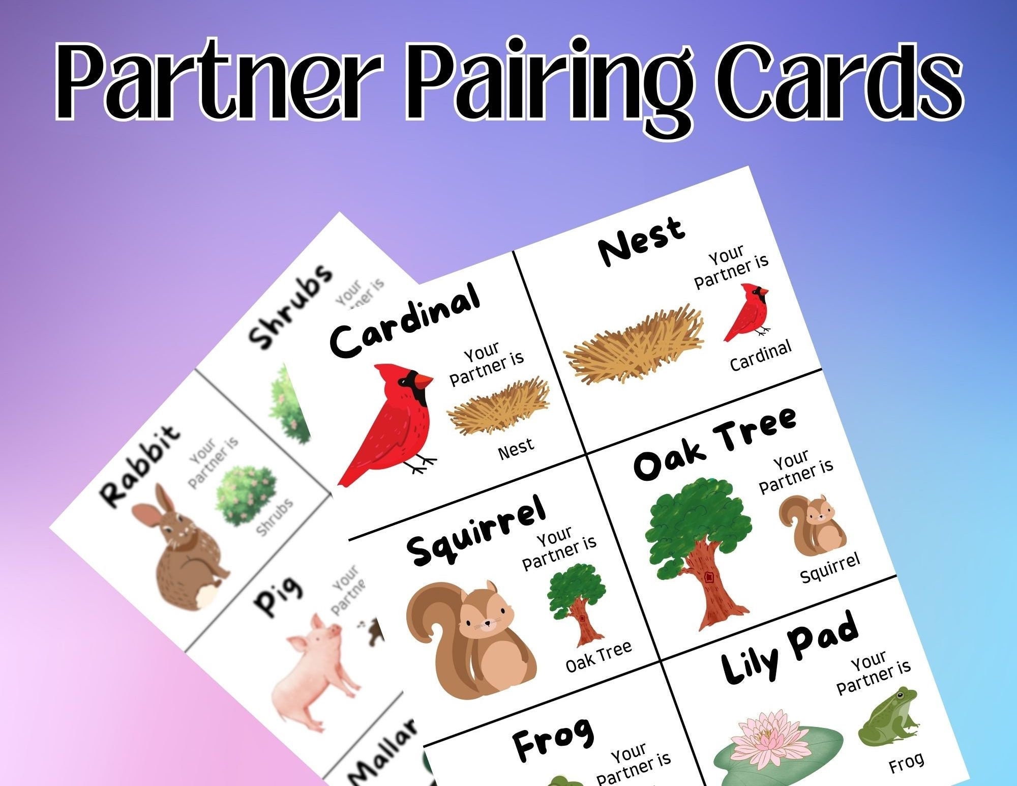 Partner Pairing Cards, Animal Themed, Animal and Habitat Pairing, Group ...