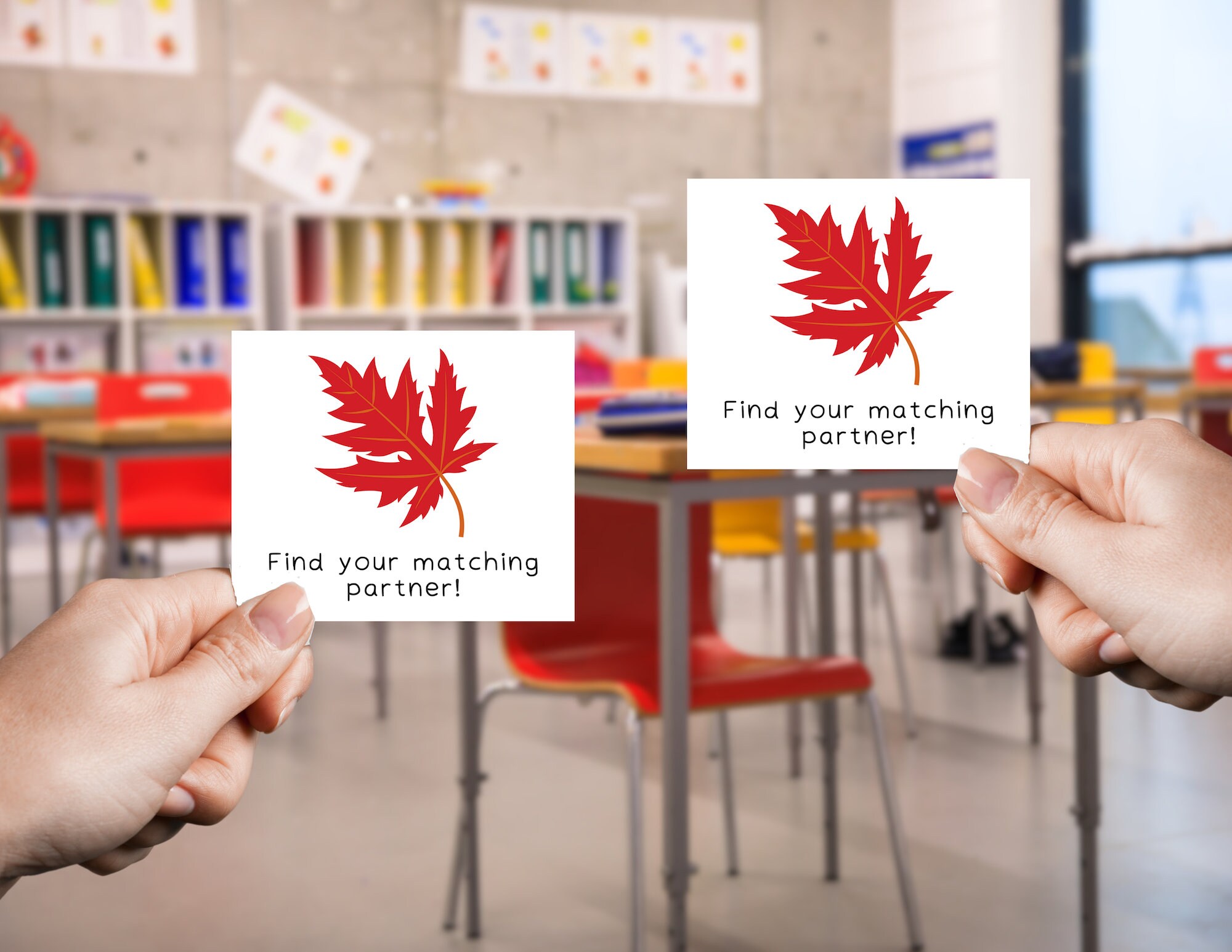 Autumn Themed Partner Pairing Cards, Fall Themed, Matching Cards, Fall ...