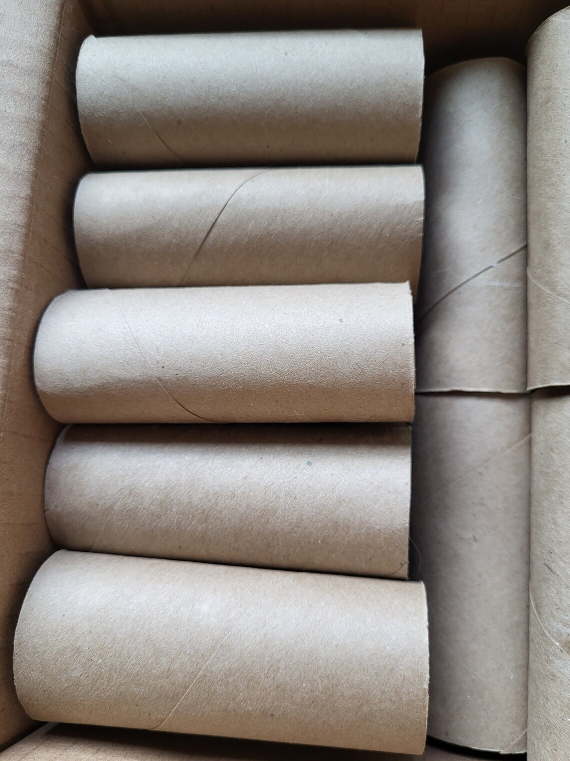 Empty Upcycled Toilet Paper Rolls 25 Count - Etsy Canada
