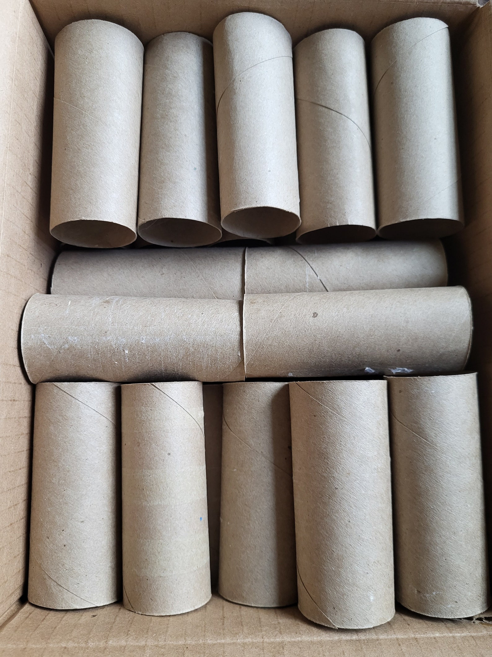 Empty Upcycled Toilet Paper Rolls 75 Count - Etsy
